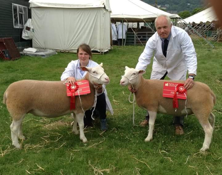 British Berrichons | Incledon Farm